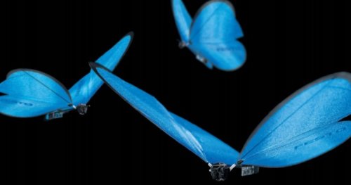 Новинки от робототехнической компании Festo поражают воображение - Hi ...