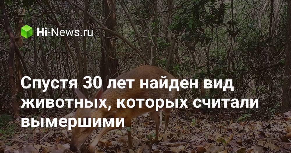 Найден вид животных, которые считались вымершими на протяжении 30 лет - Hi-News.ru