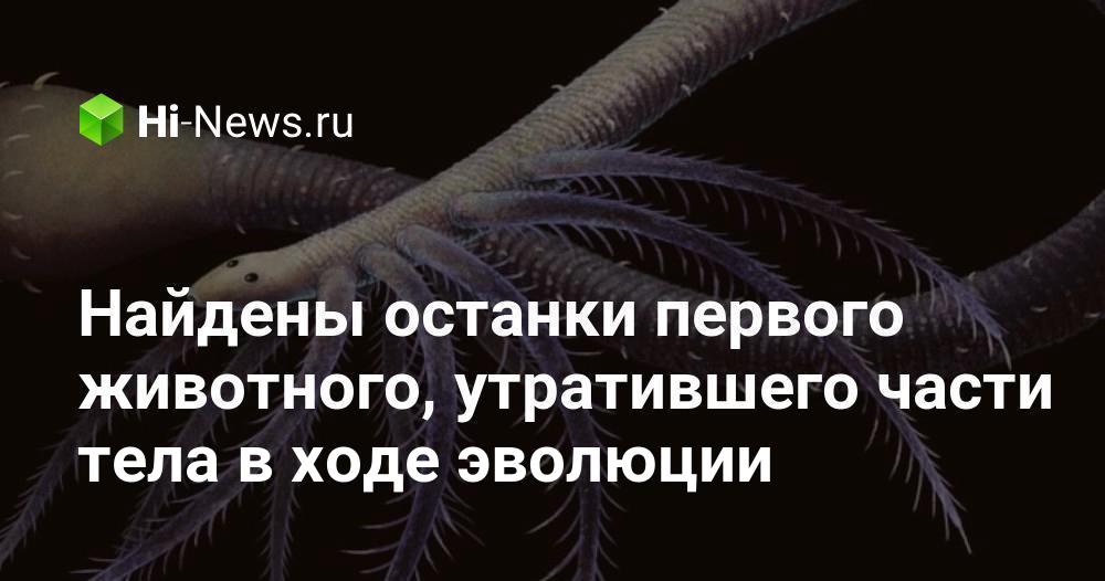 Найдены останки первого животного, утратившего части тела в ходе ...