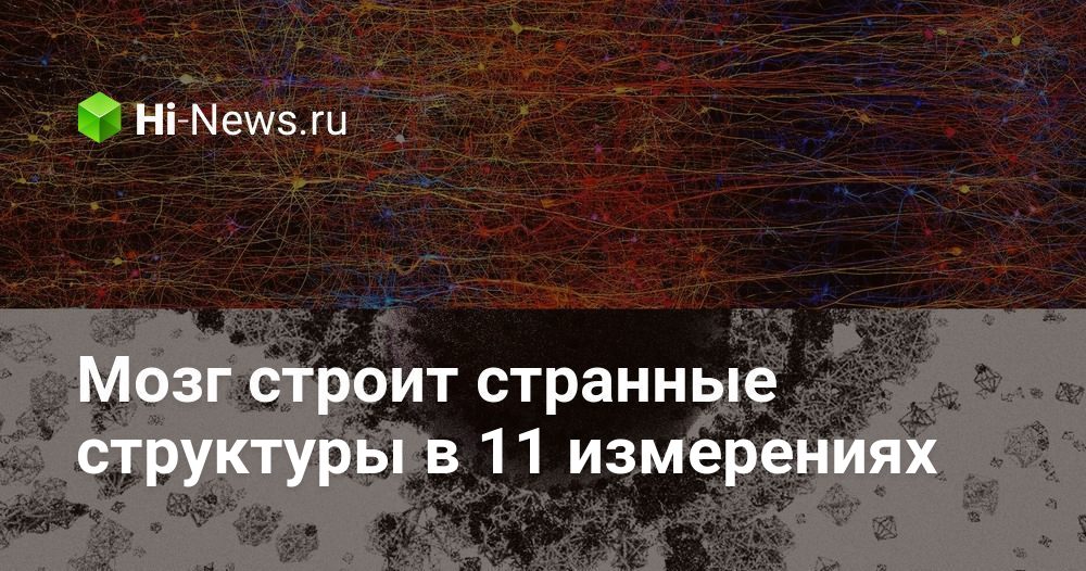 Мозг строит странные структуры в 11 измерениях - Hi-News.ru
