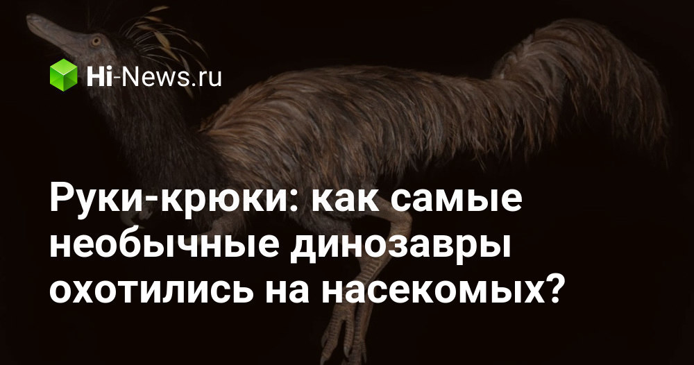 Руки-крюки: как самые необычные динозавры охотились на насекомых? - Hi ...
