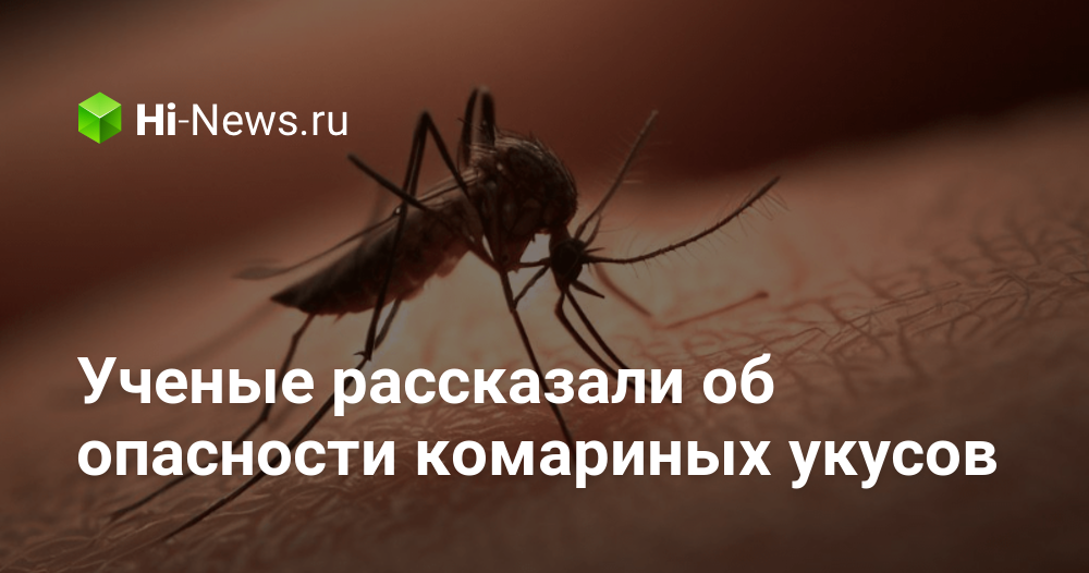 Ученые рассказали об опасности комариных укусов - Hi-News.ru