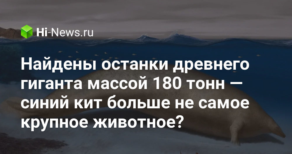 Найдены останки древнего гиганта массой 180 тонн — синий кит больше не самое крупное животное ...