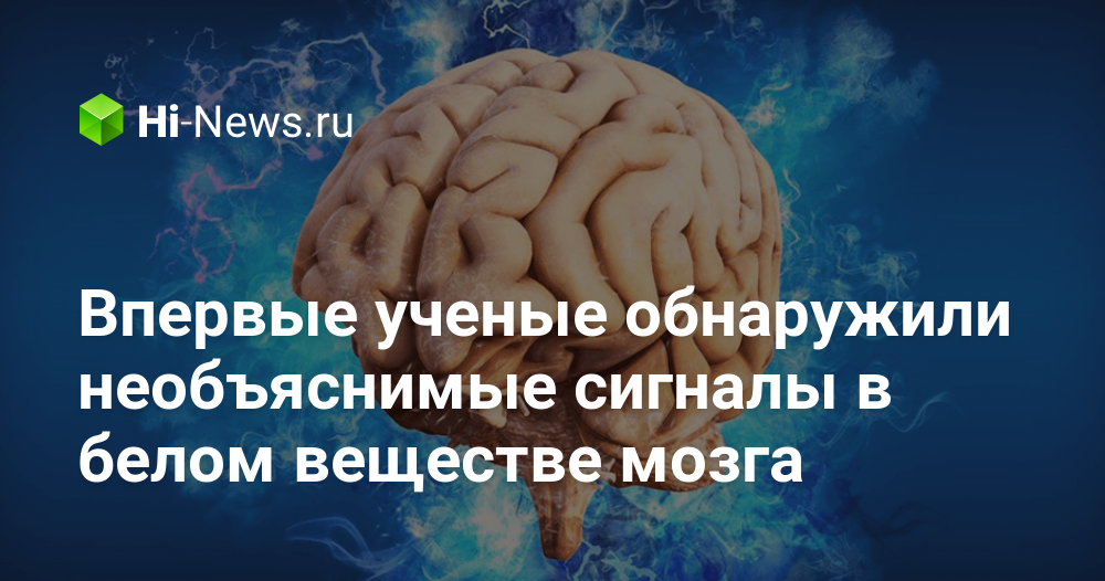 Впервые ученые обнаружили необъяснимые сигналы в белом веществе мозга - Hi-News.ru