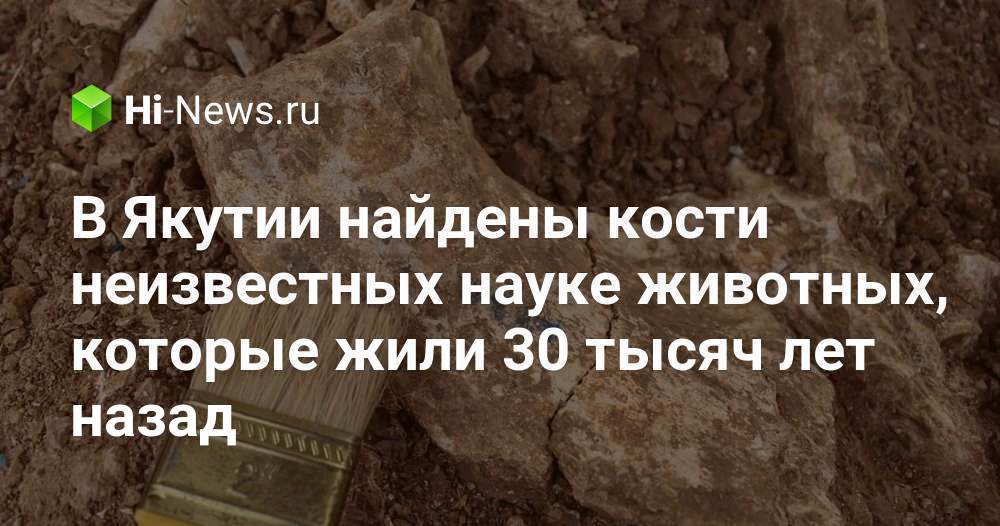 В Якутии найдены кости неизвестных науке животных, которые жили 30 тысяч лет назад - Hi-News.ru