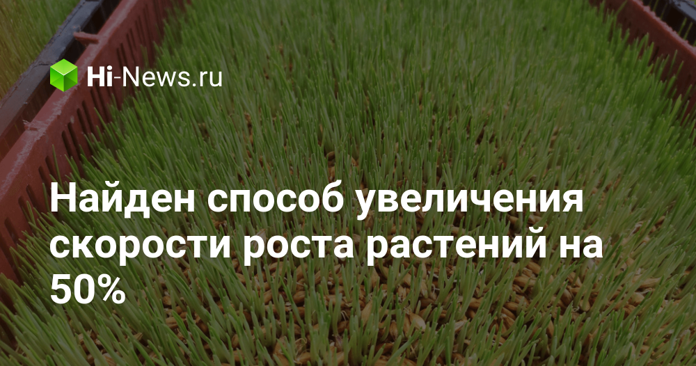 Найден способ увеличения скорости роста растений на 50% - Hi-News.ru