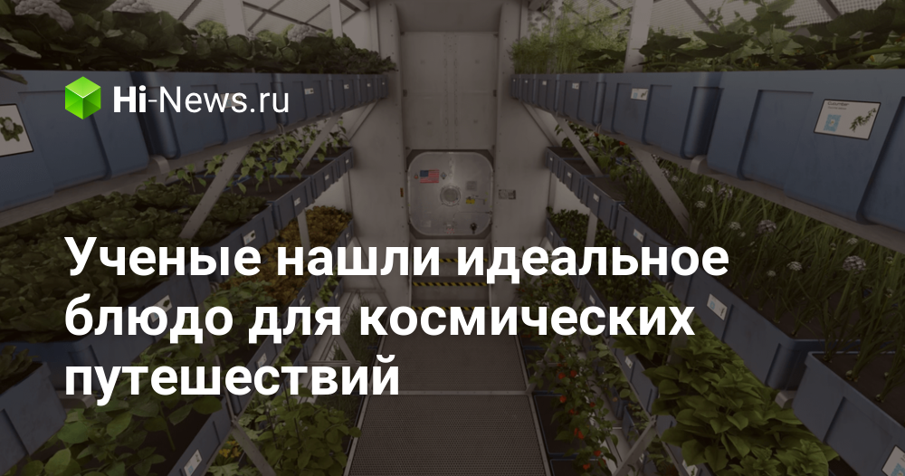 Ученые нашли идеальное блюдо для космических путешествий - Hi-News.ru