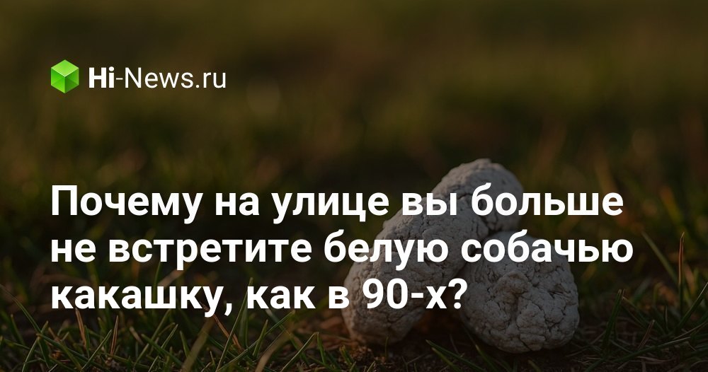 Почему на улице вы больше не встретите белую собачью какашку, как в 90-х? - Hi-News.ru
